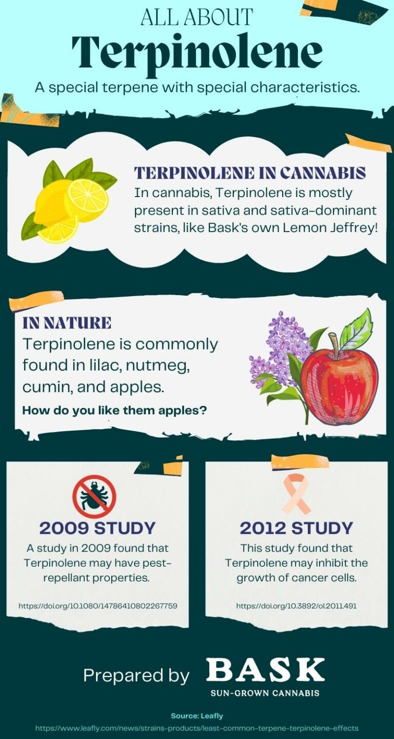 Terpene of the Month: Terpinolene - Bask Cannabis Dispensary ...
